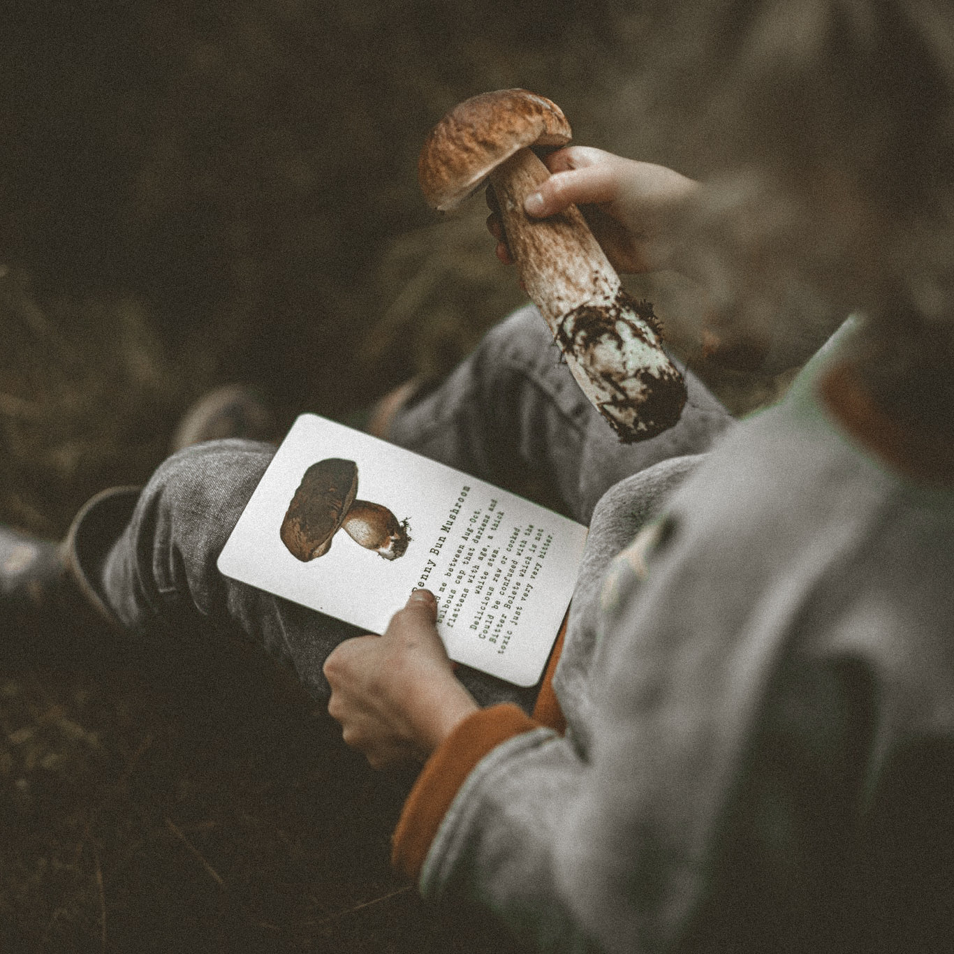 Autumn Foraging Cards – MOON CHILD