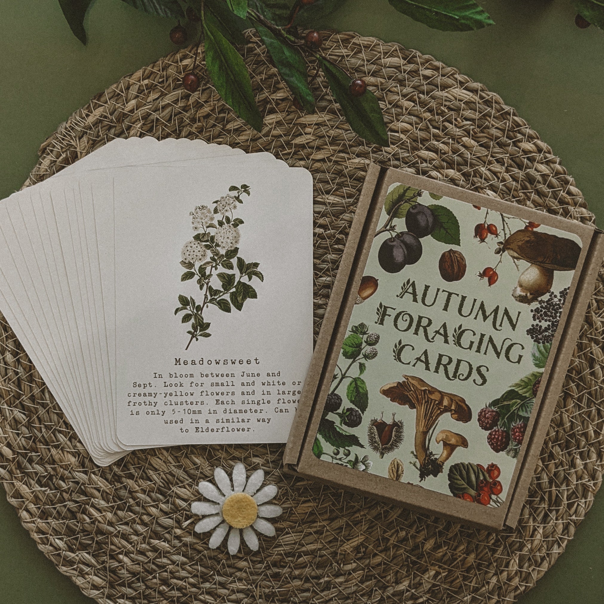 Autumn Foraging A6 Card Pack – MOON CHILD